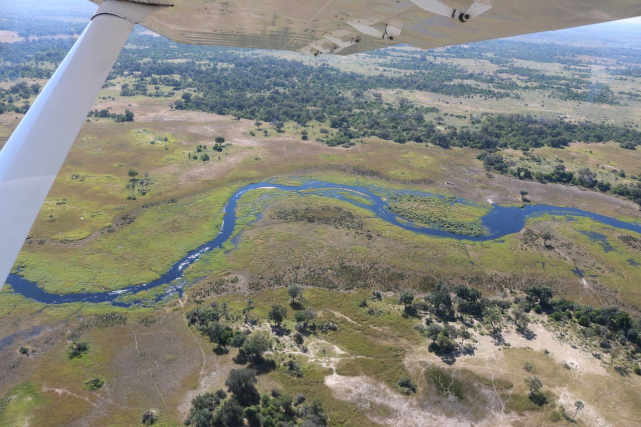 Okavango Delta House Boat - O Bona Delta Excursions